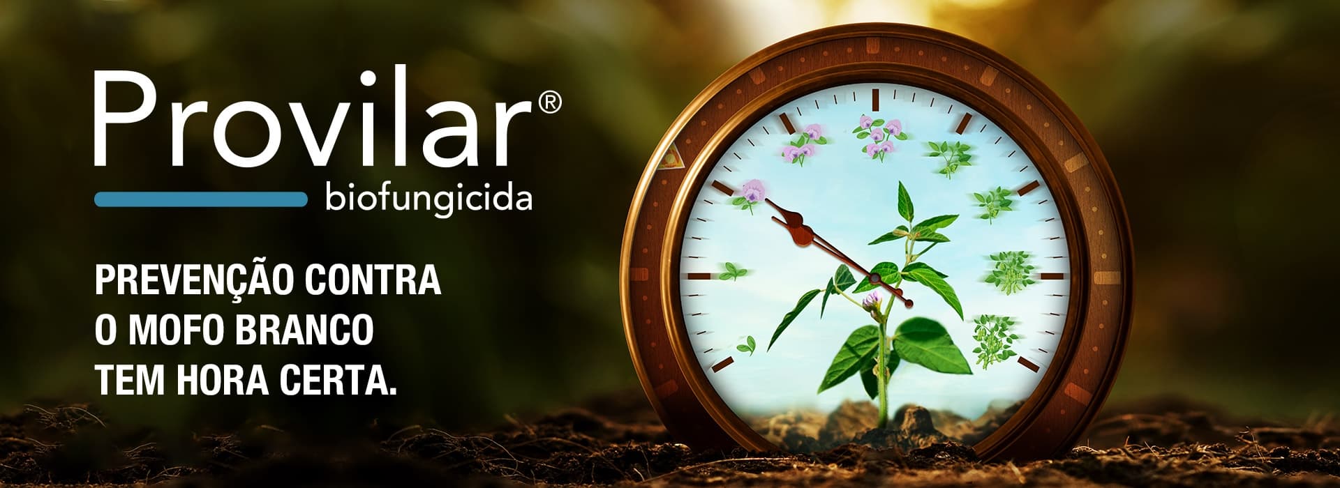 FMC - Provilar® biofungicida